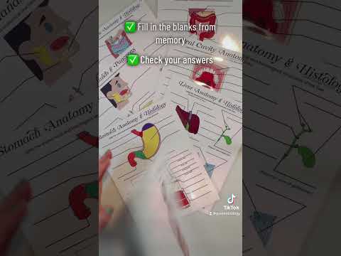 Digestive Worksheets Now Available | TEAS and MCAT Review #shorts #anatomy