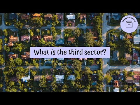What is the Third Sector?