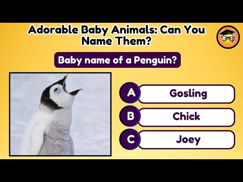 Adorable Baby Animals Quiz-Can You Guess 30/30? Baby Animal Names Edition: Challenge 06.