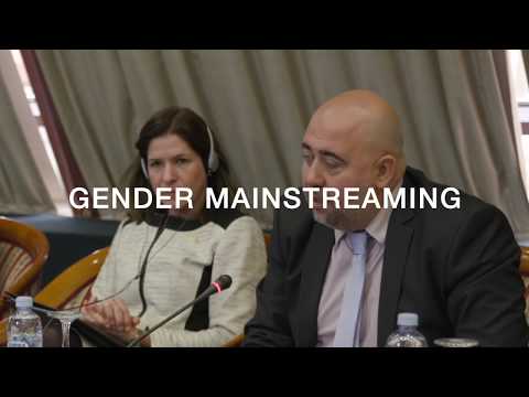 THE EXTENT AND EFFECTS OF THE APPLICATION OF RESOLUTION 1325 AND NATO ACTIVITIES BASED ON UNSCR 1325
