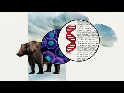 Universal Genetic Code (Evolution) — Evidence & Examples - Expii