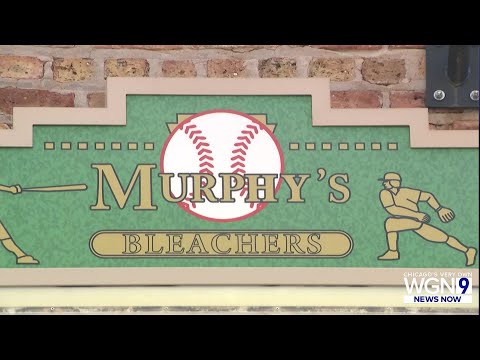 David Ross pays tribute to late Murphy’s Bleachers owner Beth Murphy