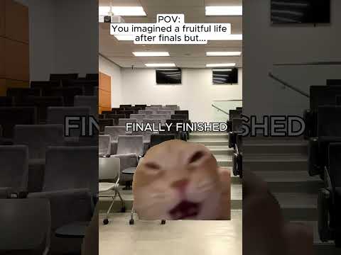 CAT MEMES 🐱 When you imagine your post-Final life #catmemes #relatable #finals