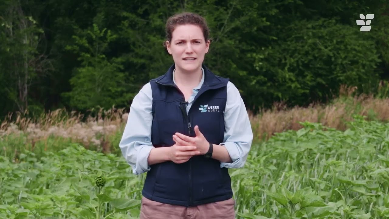 Grant Advice | Ceres Rural