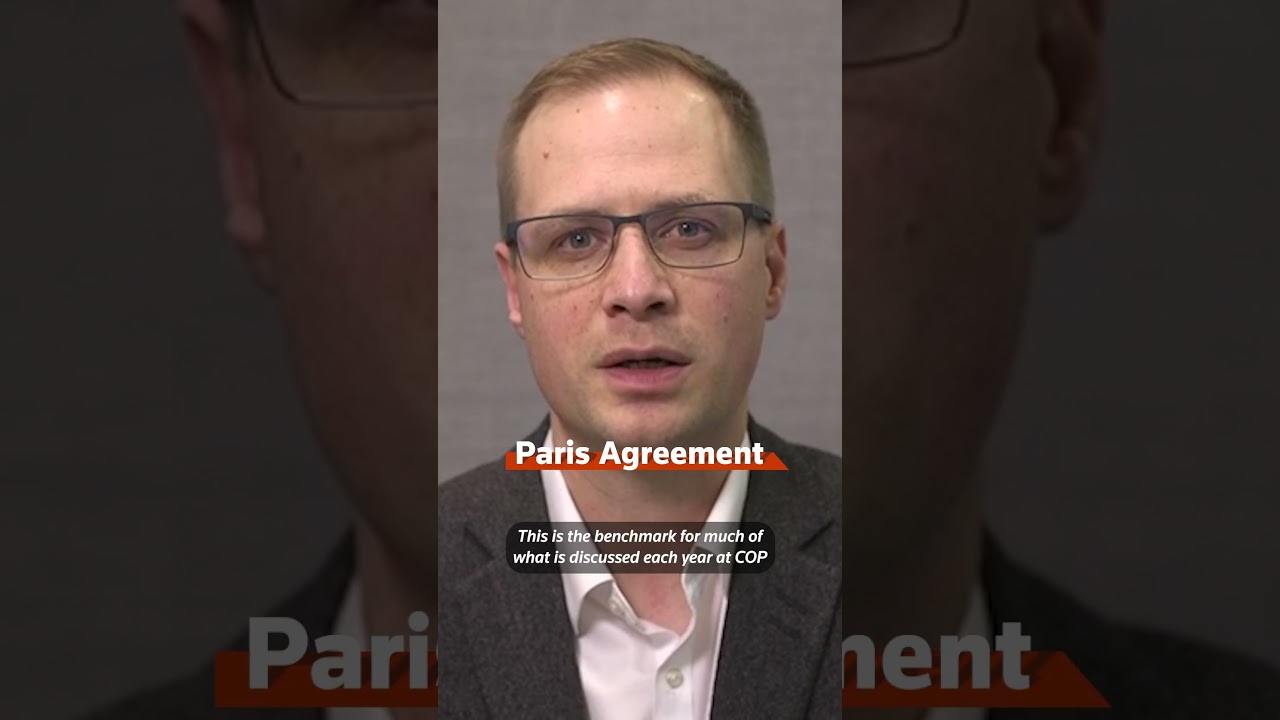 COP29: Breaking down climate jargon