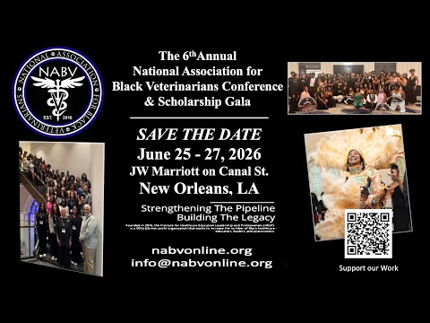 NABV 5th Annual Conference & Scholarship Gala Recap Video