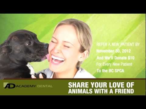 BC SPCA Donation | Victoria Island Dentist Academy Dental