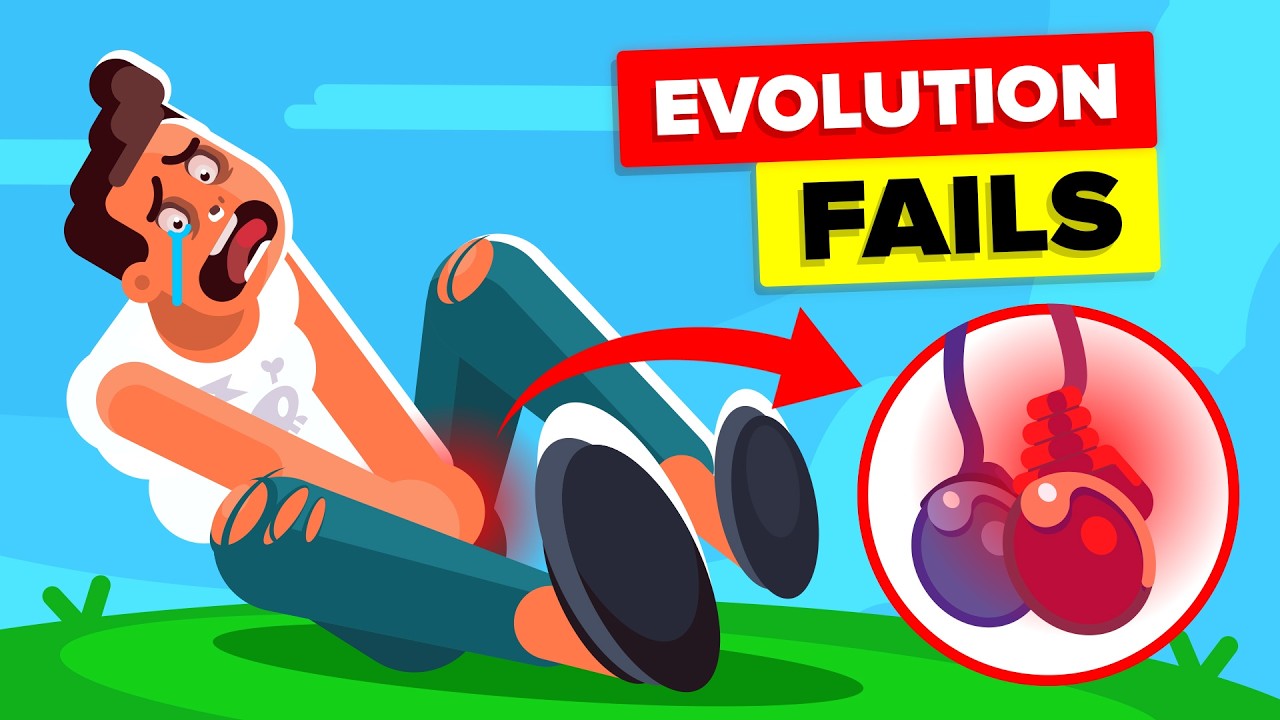 10 Major Design Flaws of the Human Body