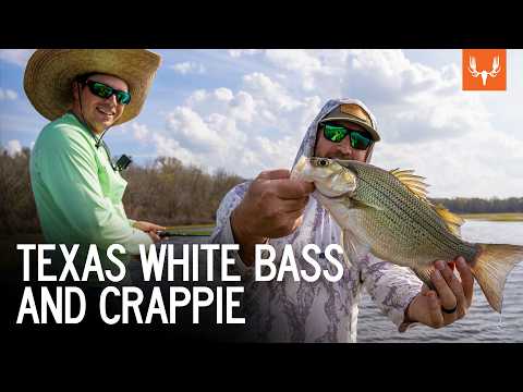 Texas White Bass and Crappie | The Element