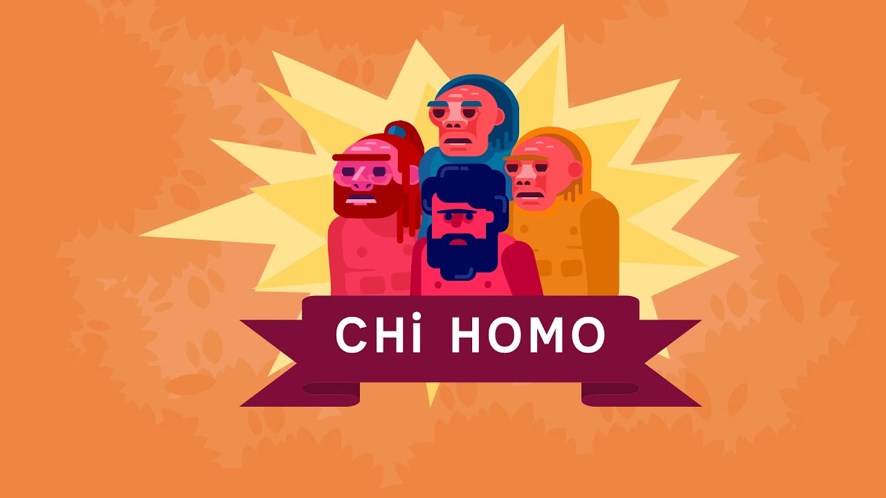 Evolution of Human Beings: Powerpoint Animation