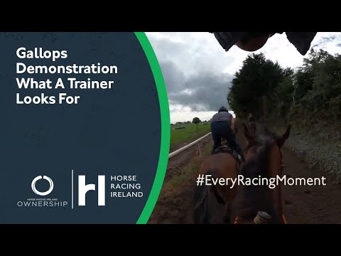Gallops Demonstration | Racing Explained