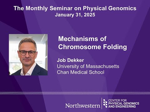 Job Dekker- Mechanisms of Chromosome Folding