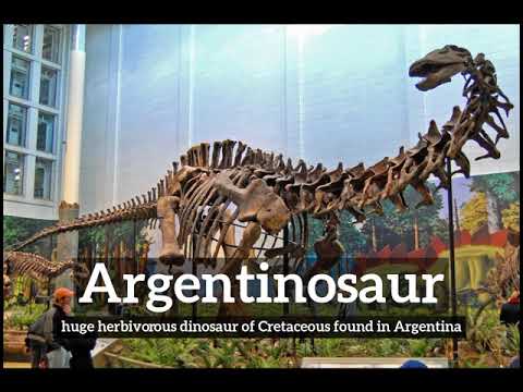 How Does Argentinosaur Look? | How to Say Argentinosaur in English? | What is Argentinosaur?