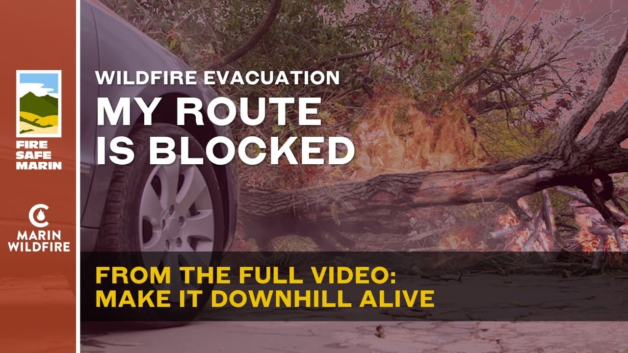 Wildfire Evacuation: My Route is Blocked!