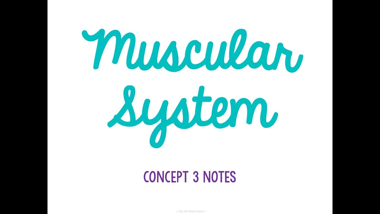 Unit 2 Support and Motion Concept 3 Notes