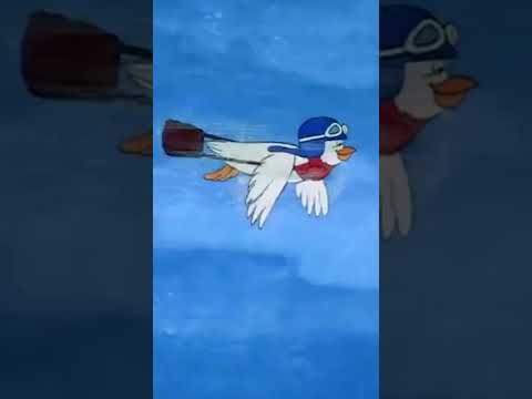 Yankee Doodle Pigeon