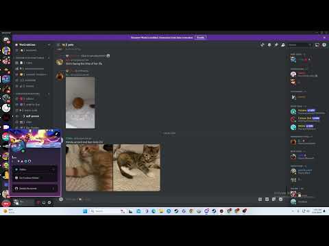 How to Turn On Do Not Disturb Mode in Discord