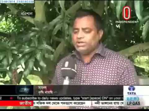 Asaduzzaman Successful by Agricultural farm in Barisal !!
