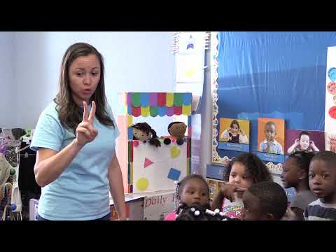 Follow-Along Brain Builder Demonstration