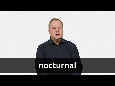 NOCTURNAL 释义 | 柯林斯英语词典