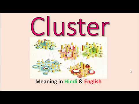 Cluster II झुंड II Meaning in Hindi & English