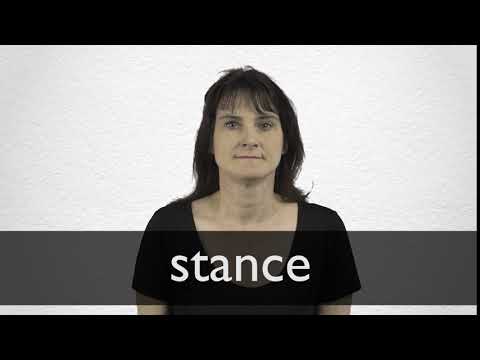 'STANCE' 的 简体中文 Translation | 柯林斯 英语 - 汉语词典