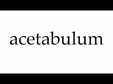How to Pronounce acetabulum