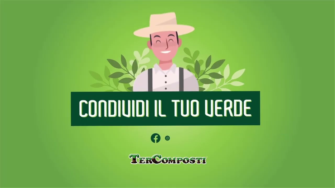 Piante per una siepe in vaso - PILLOLE DI VERDISSIMO