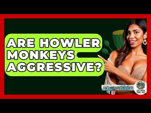 Are Howler Monkeys Aggressive? - South America Travel Pros