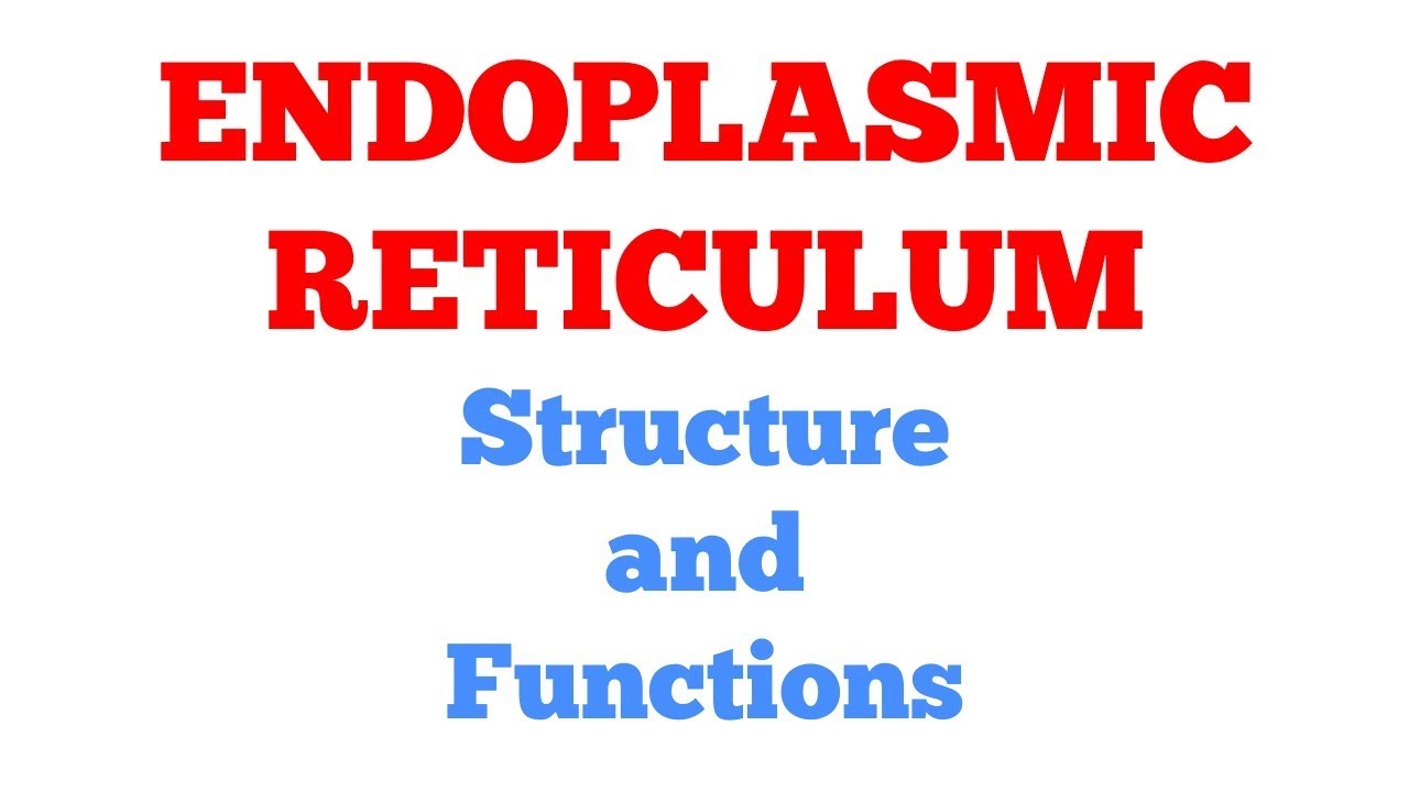 Endoplasmic Reticulum || #Biochemistry