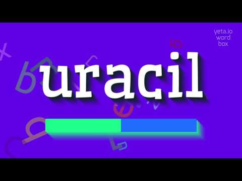 How to say "uracil"! (High Quality Voices)