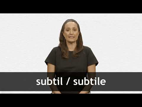 English Translation of “SUBTIL” | Collins French-English Dictionary