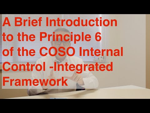 A Brief Introduction to the Principle 6 of the COSO Internal Control - Integrated Framework