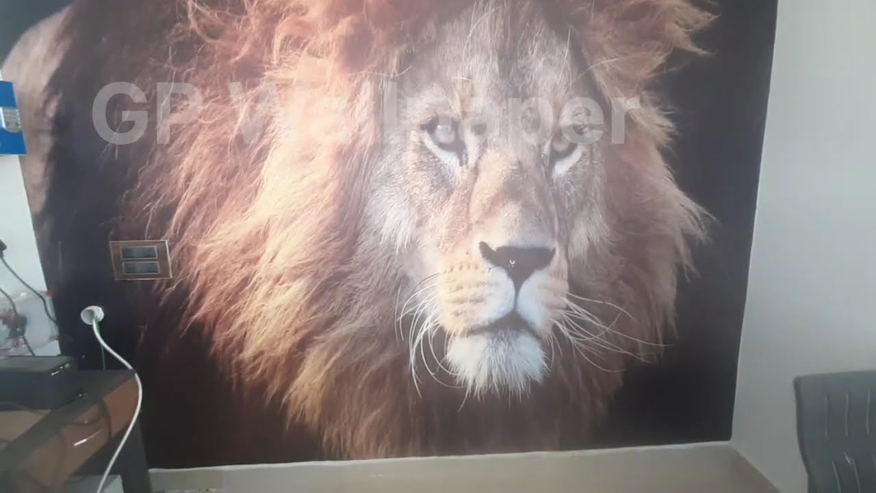 3D Customized  Lion Wallpaper