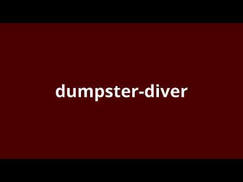 what is the meaning of dumpster-diver.