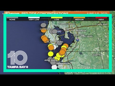 Pinellas County issues health warning for red tide blooms along beaches