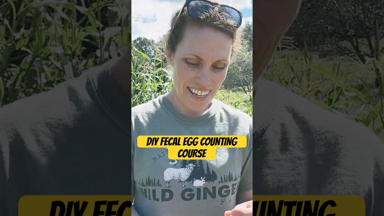 DIY Fecal Egg Counts: Learn to Test Your Animals At Home
