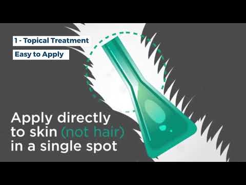 Revolution Plus for Cats | Best Flea and Tick Treatment | VetSupply