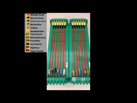 DAR Horse Racing: Season 2, Race 7- Rookie Horse Continues Impressive ...