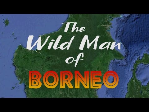 Wild Man Of Borneo 20141218