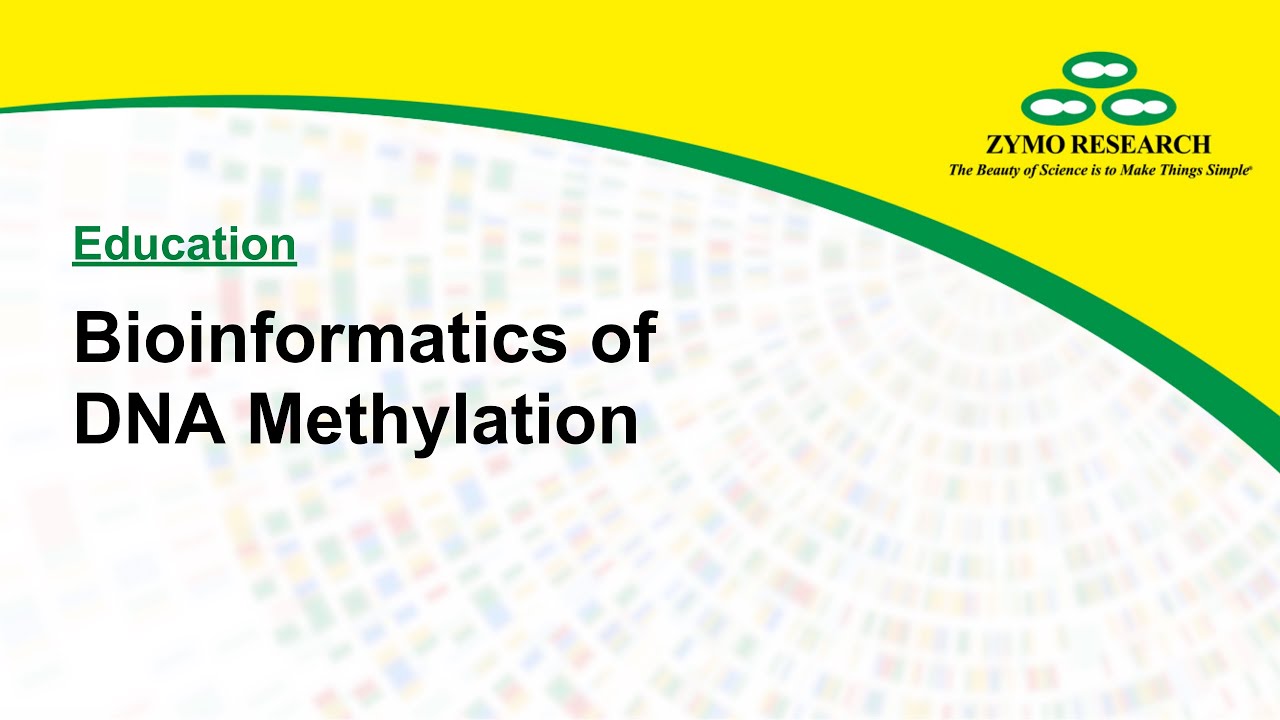 Bioinformatics For Genome-wide DNA Methylation Sequencing | Zymo Research