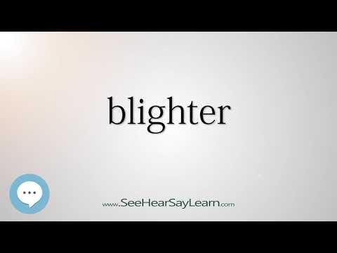 blighter