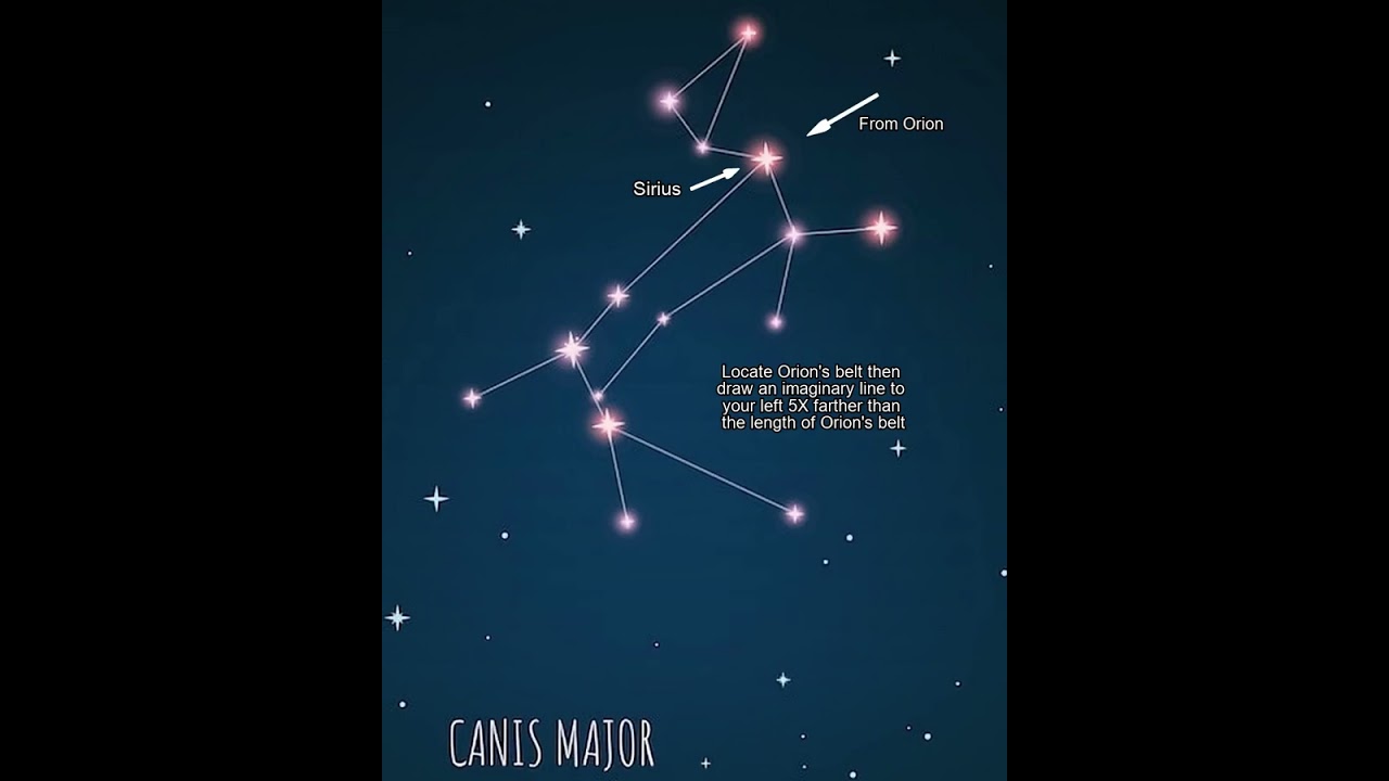 Canis Major