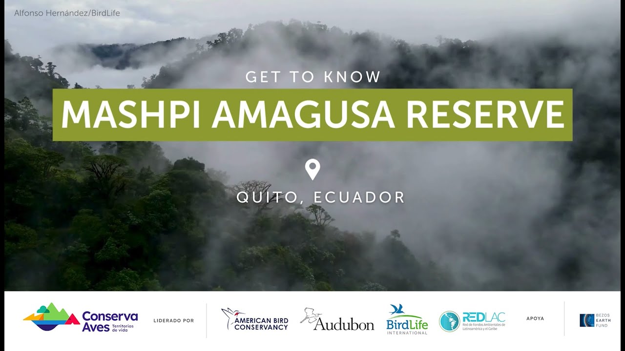 Get to Know: Mashpi Amagusa Reserve