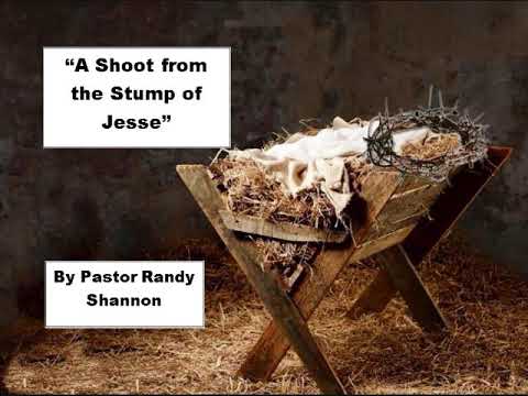 A Shoot from the Stump of Jesse