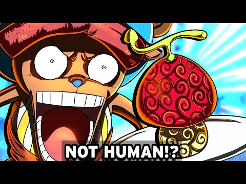 What Everyone Gets Wrong About This DEVIL FRUIT!