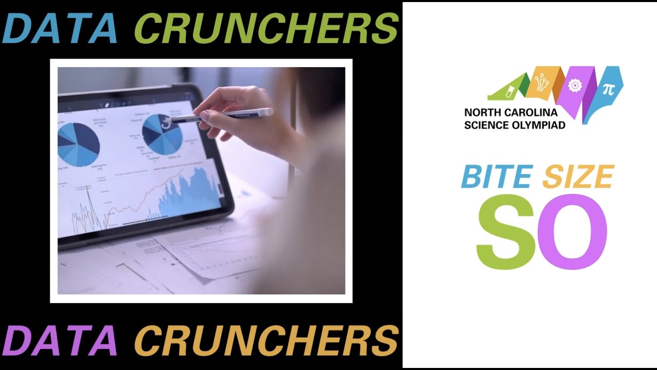 Data Crunchers BiteSize SO