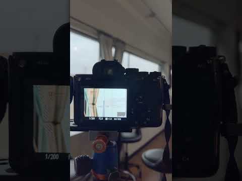 What is ISO? How do I set it? And why does it matter? #photographytips #learnphotography
