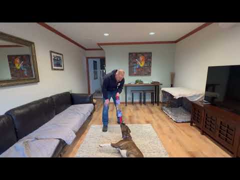 Structured Play- Part 3