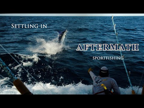 Episode #3: Settling In